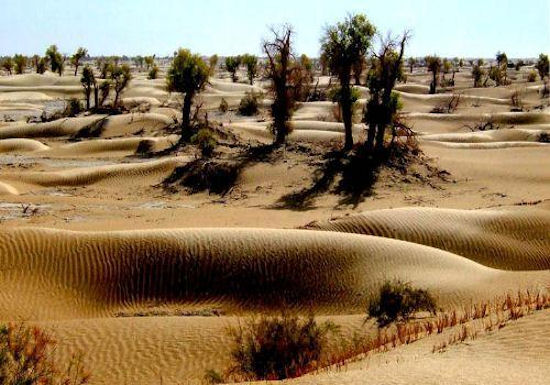 Top 3 Most Beautiful Deserts in China | China Travel Blog
