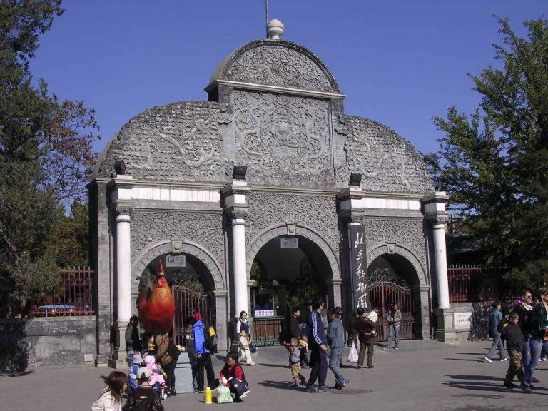 Beijing Zoo | China Travel Blog